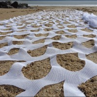 Projects – Louise Thomas Illustration